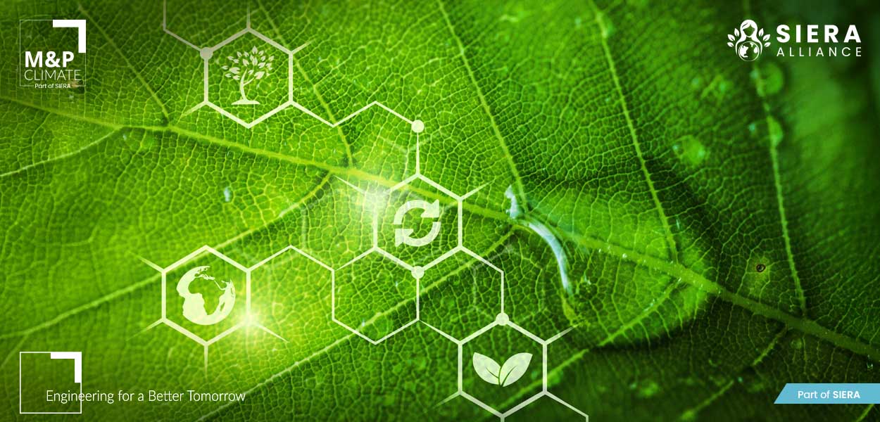 What is Carbon Footprint Analysis and Why It Matters in 2025